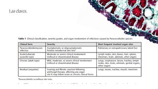 MICOSIS PULMONAR COCCIDIOMICOSIS Y PARACOCCIDIOMICOSIS | PDF