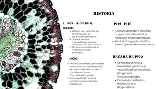 MICOSIS PULMONAR COCCIDIOMICOSIS Y PARACOCCIDIOMICOSIS | PDF