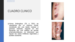 MICOSIS SUBCUTANEAS.pptx