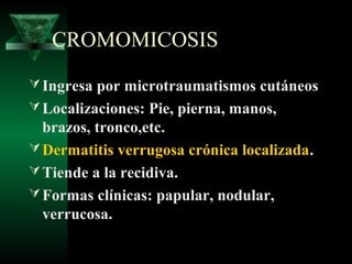 Micosis subcutaneas 1 | PPT