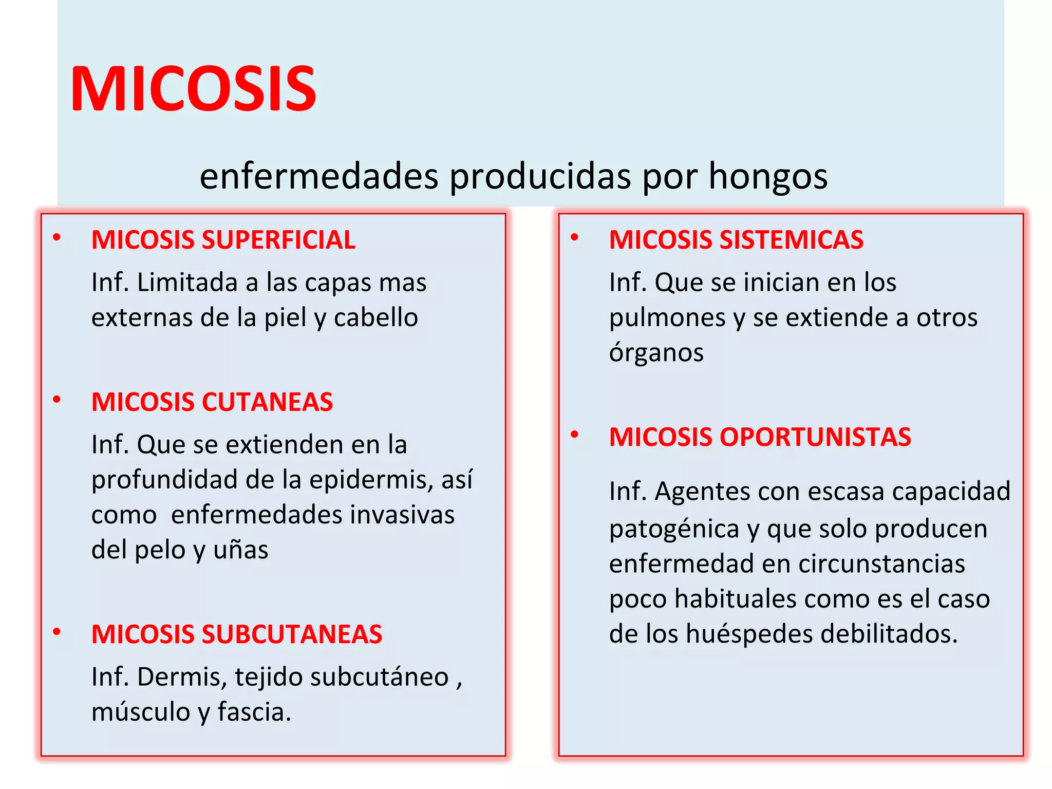 Micosis subcutáneas | PPT