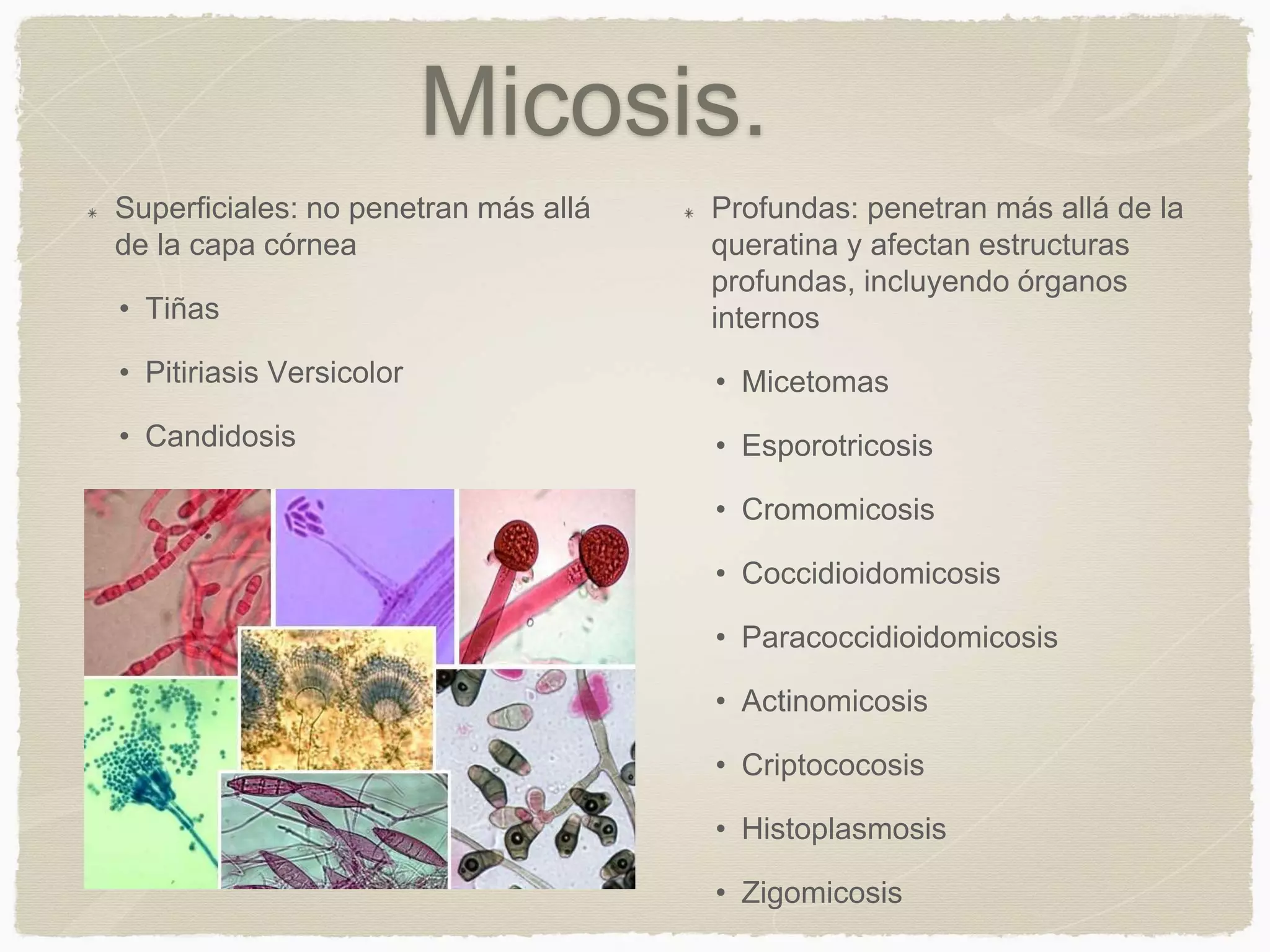Micosis superficiales y candidiasis | PPTX
