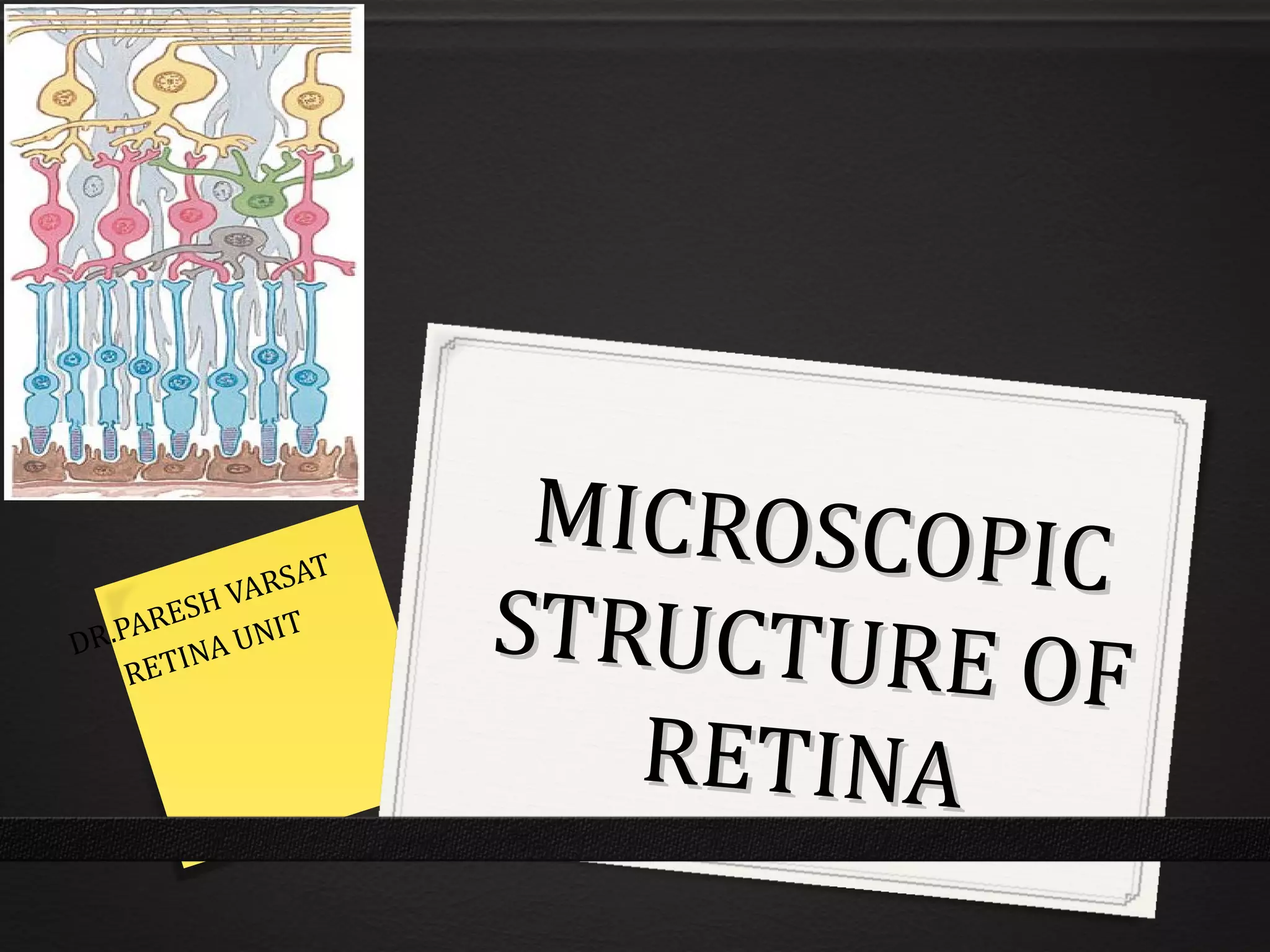 Microscopic structure of retina dr paresh varsat | PPT