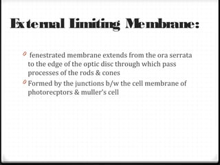 Microscopic structure of retina dr paresh varsat | PPT