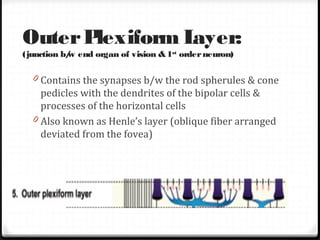 Microscopic structure of retina dr paresh varsat | PPT