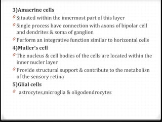 Microscopic structure of retina dr paresh varsat | PPT