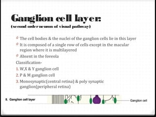 Microscopic structure of retina dr paresh varsat | PPT