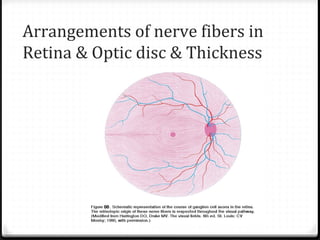 Microscopic structure of retina dr paresh varsat | PPT