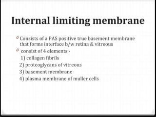 Microscopic structure of retina dr paresh varsat | PPT