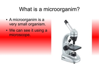 Micro-oganisms | ODP