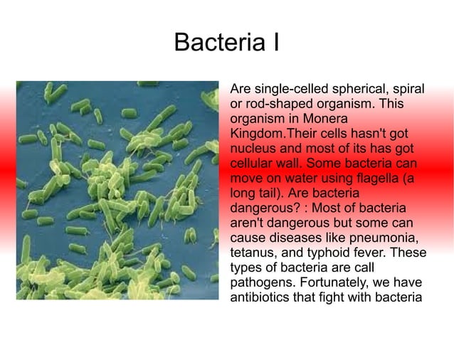 Micro-oganisms | ODP