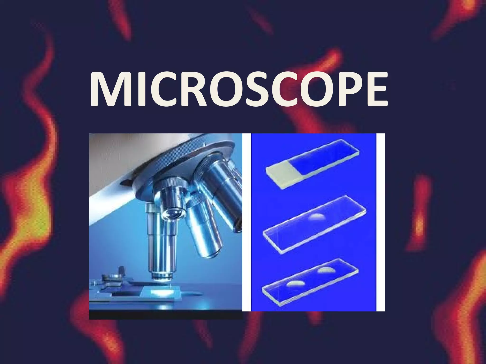 Microbiology (Microscope) | PPT