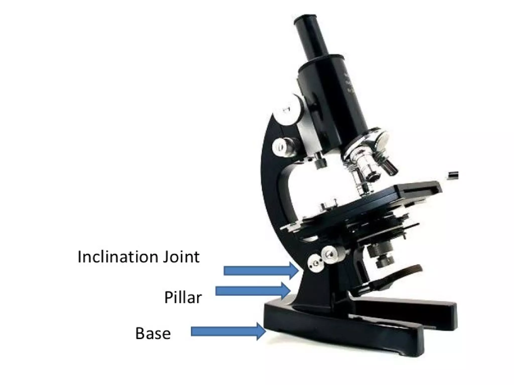 Microbiology (Microscope) | PPT