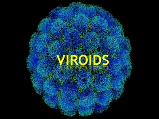 viriods | PPT