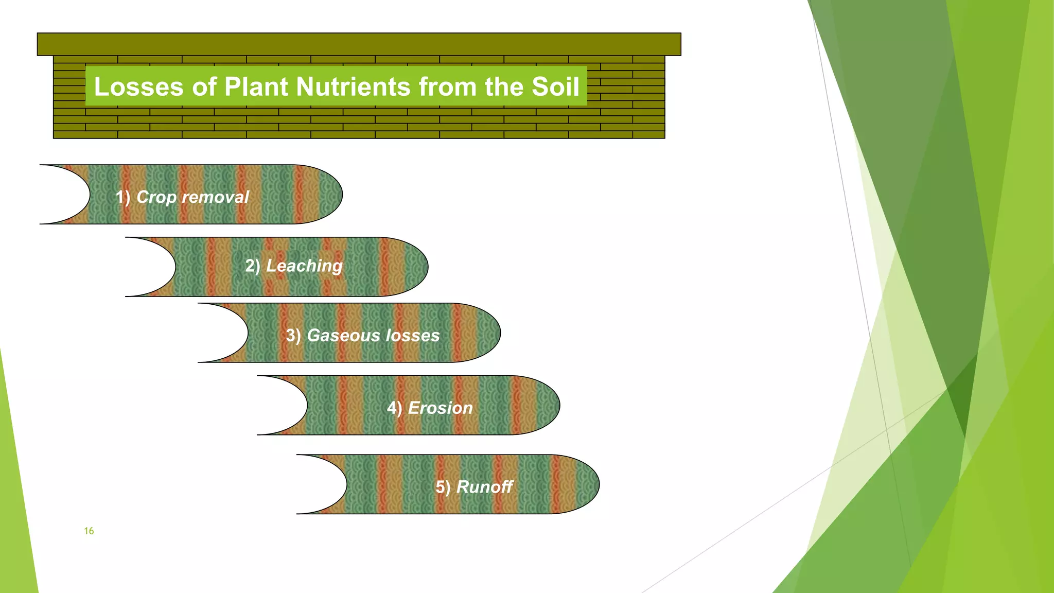 Role of micro nutrients and their deficiency symptoms in Mulberry | PPTX