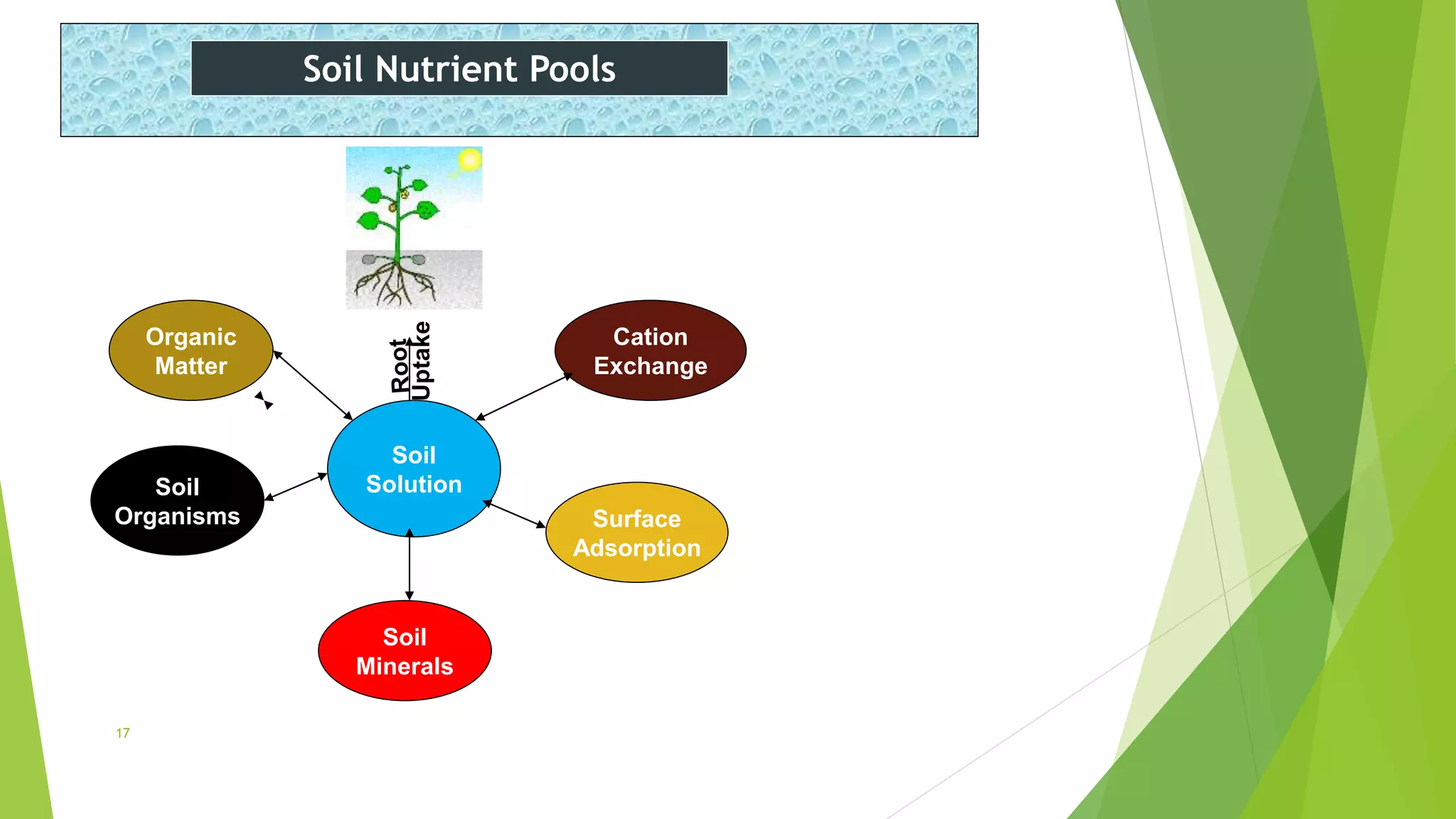 Role of micro nutrients and their deficiency symptoms in Mulberry | PPTX