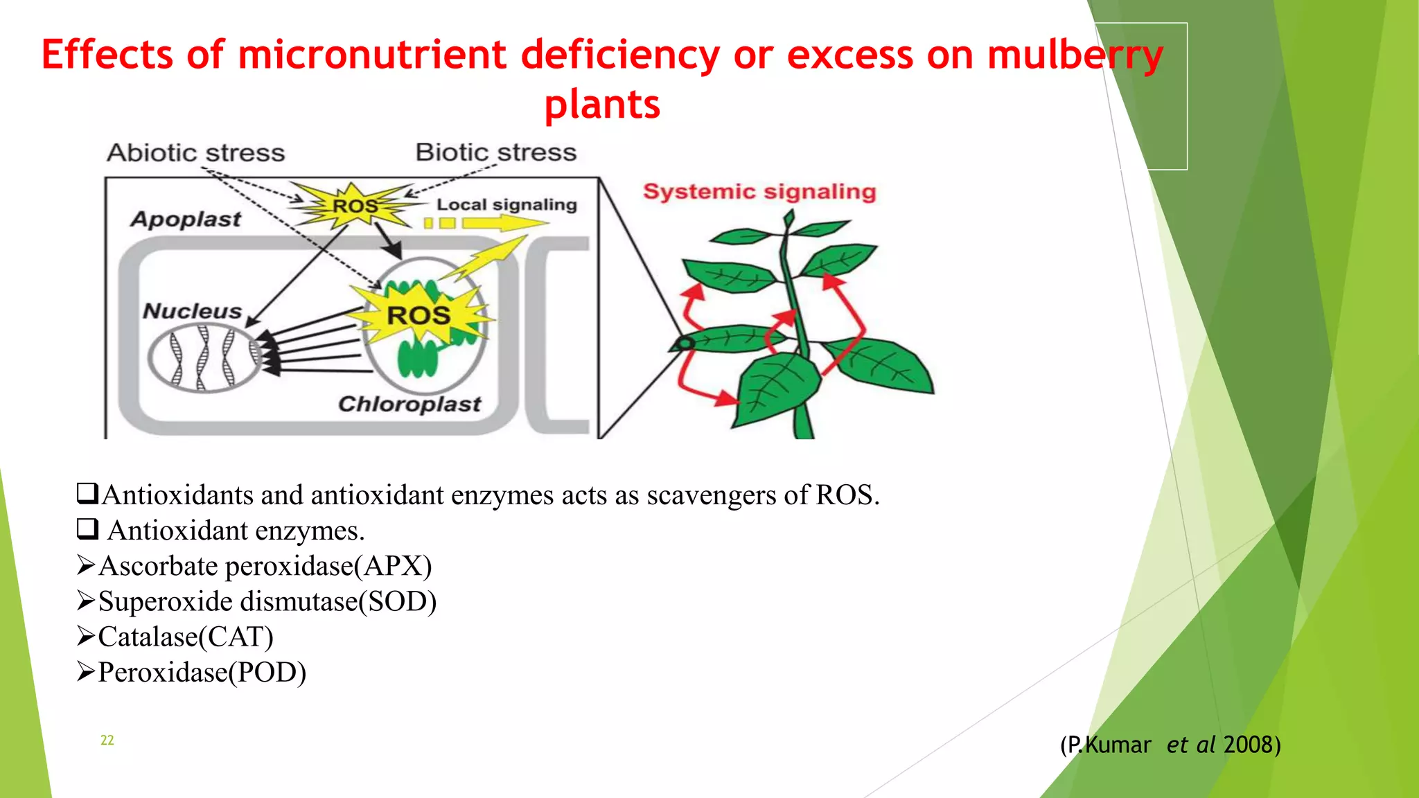 Role of micro nutrients and their deficiency symptoms in Mulberry | PPTX