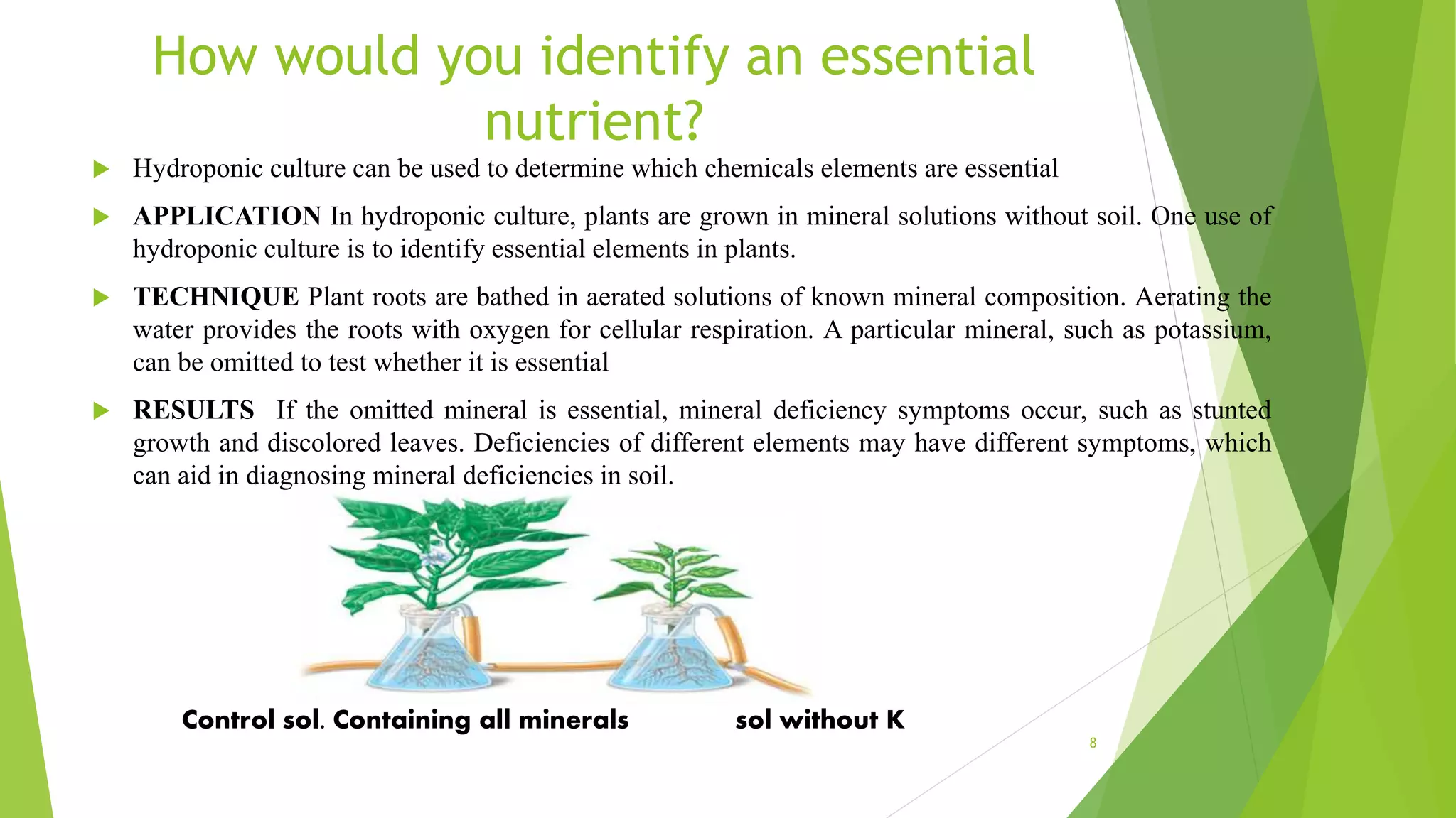 Role of micro nutrients and their deficiency symptoms in Mulberry | PPTX