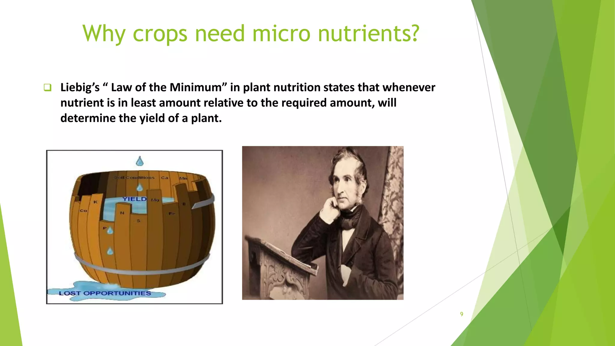 Role of micro nutrients and their deficiency symptoms in Mulberry | PPTX