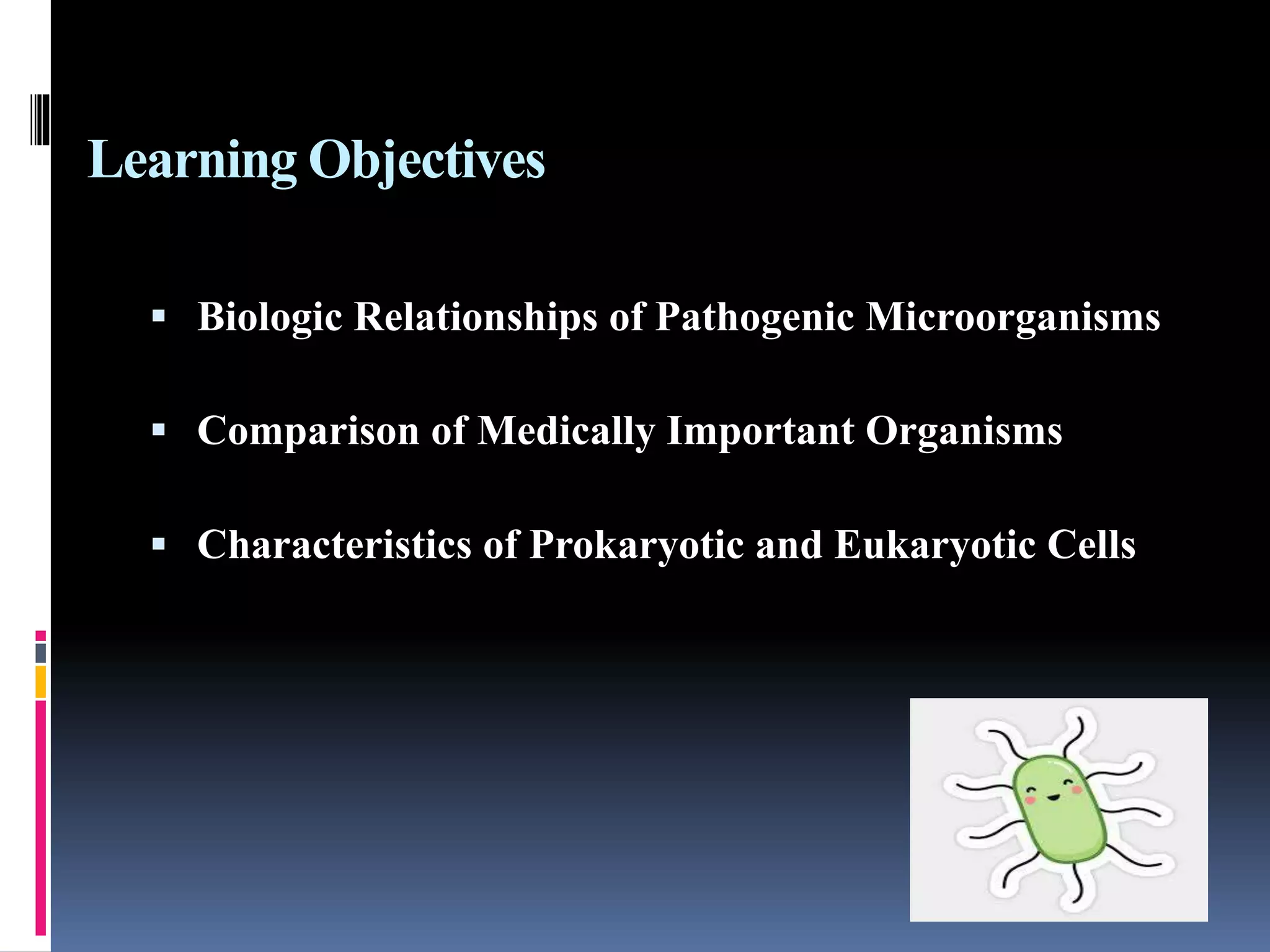 bacteria compared with other microorganisms | PPTX