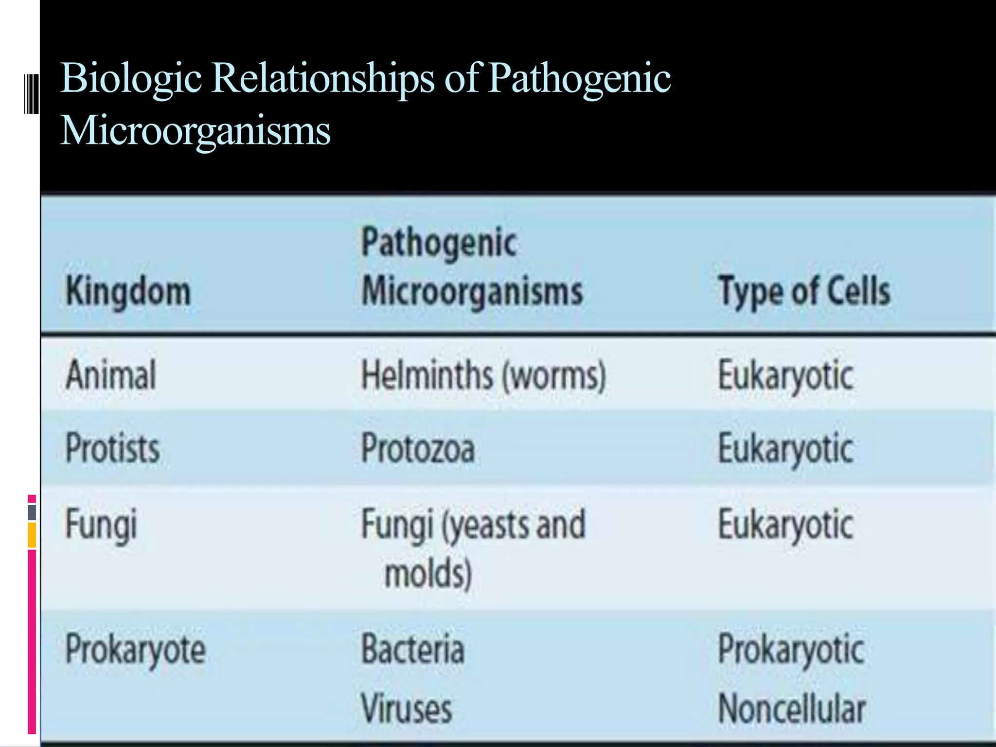 bacteria compared with other microorganisms | PPTX