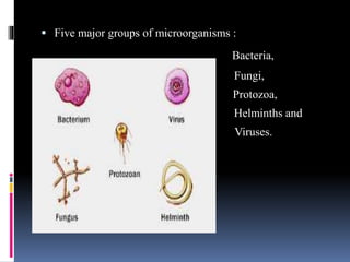 Introduction of Microbiology | PPTX
