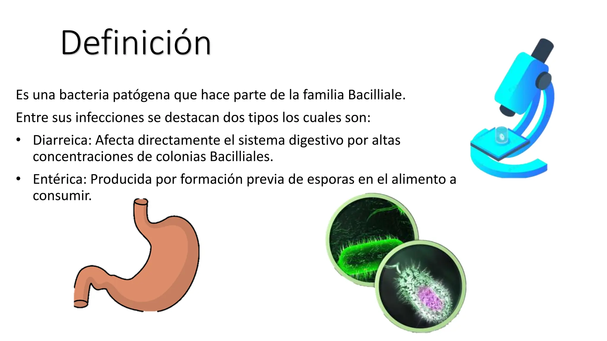 Microbiología especificada en bacillus cereus | PPTX