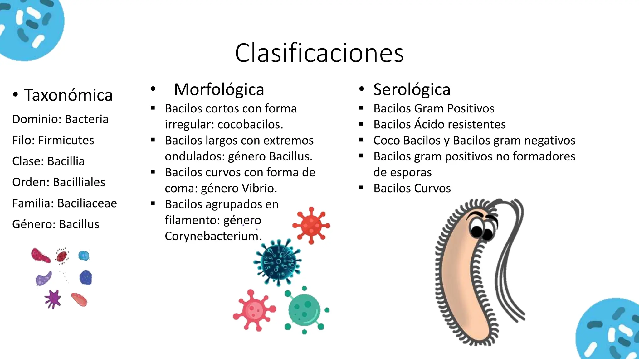 Microbiología especificada en bacillus cereus | PPTX