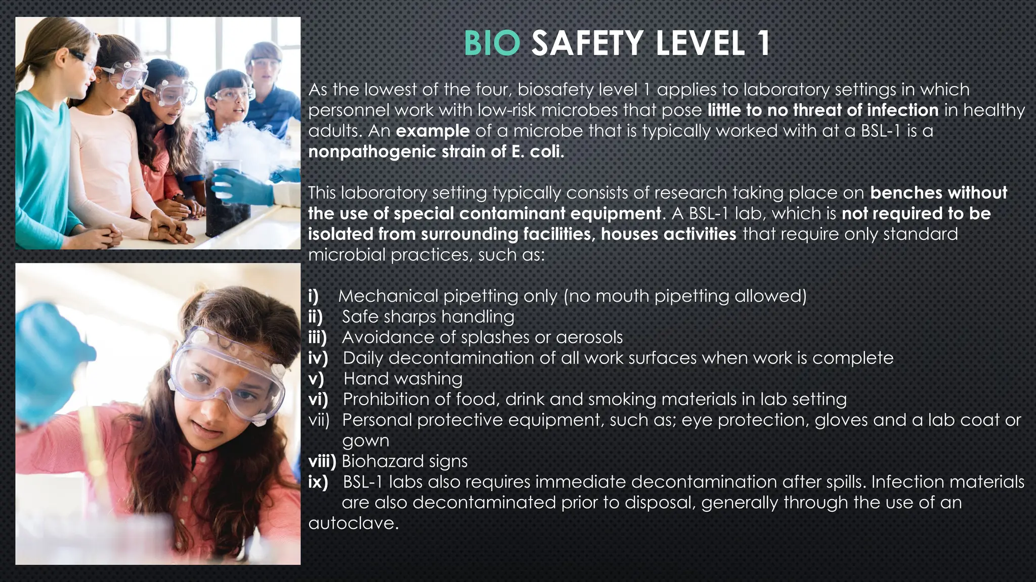 Biosafety levels from 1-4 in Laboratories | PPTX