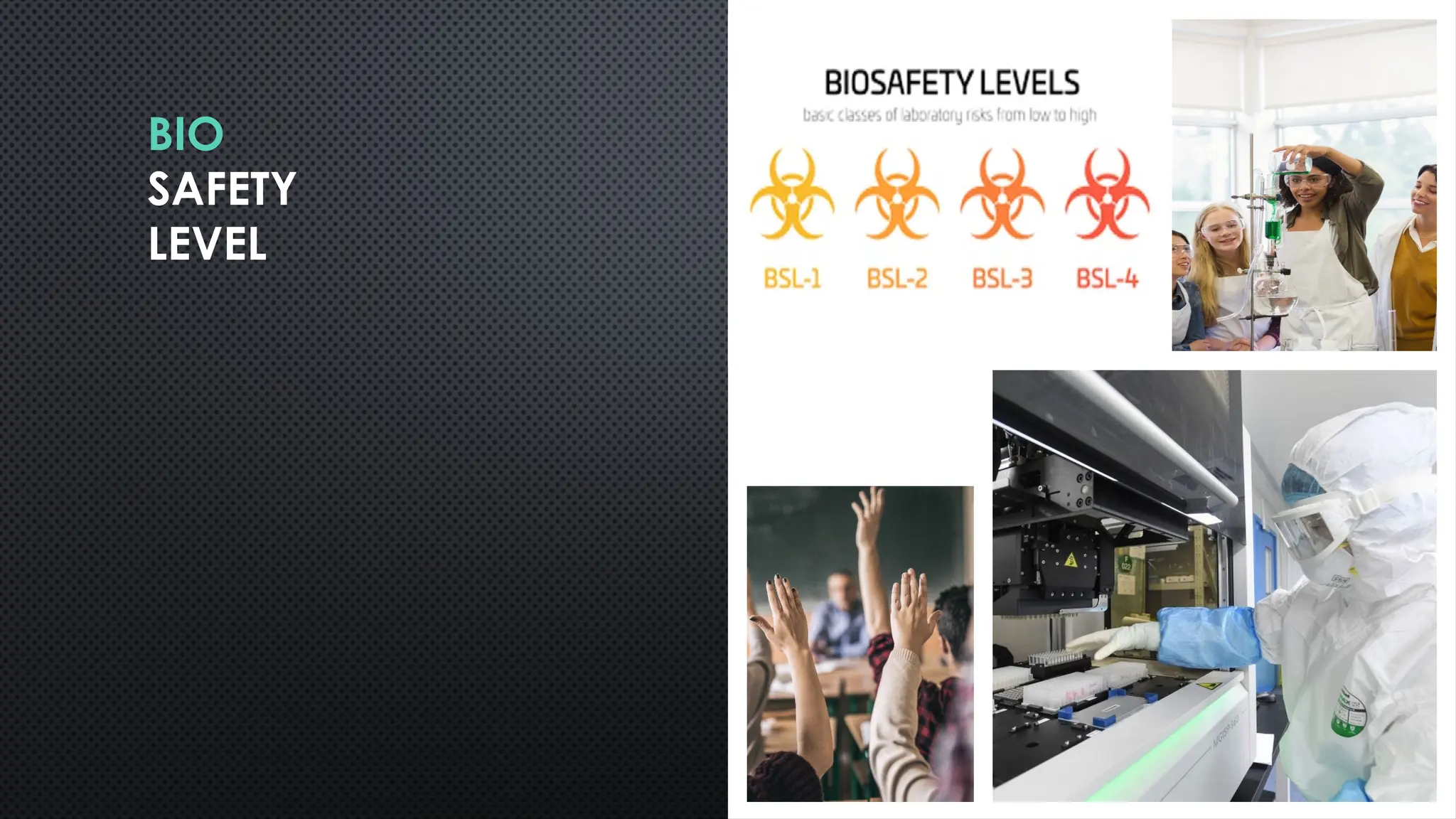 Biosafety levels from 1-4 in Laboratories | PPTX