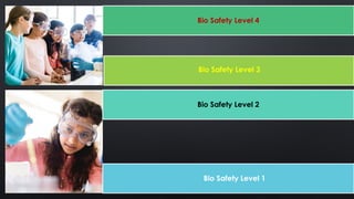Biosafety levels from 1-4 in Laboratories | PPTX