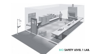 Biosafety levels from 1-4 in Laboratories | PPTX