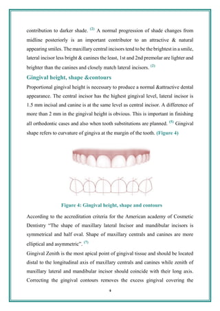 Micro-Esthetic | PDF