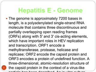 Micro bio(hepatitis-e) | PPTX