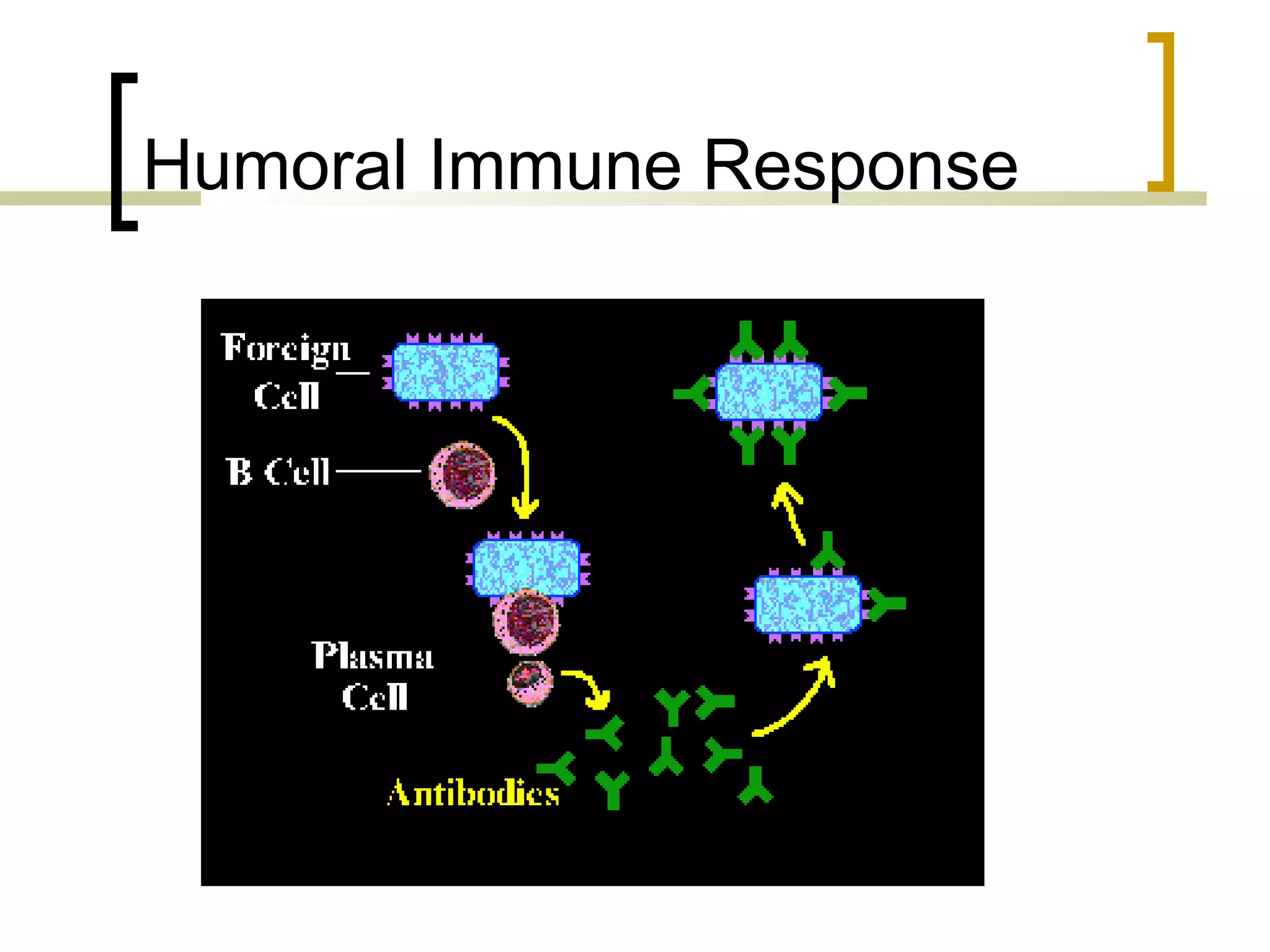 Micro bio(humoral imune responce) | PPT