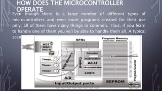 Micro controller and dsp processor | PPT