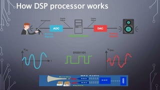 Micro controller and dsp processor | PPT