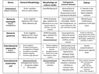 Micro and Bacterial: Finals Summary Table | PDF
