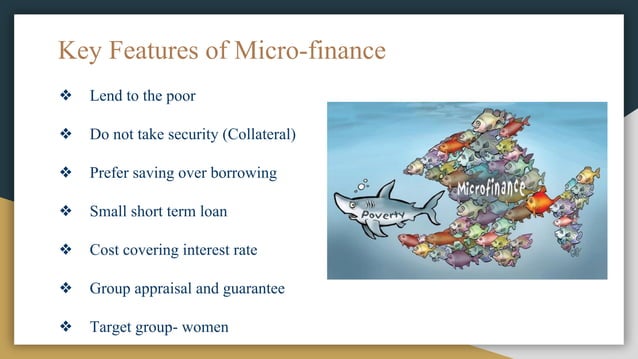 Micro finance - an introduction | PDF | Government Support and Welfare ...