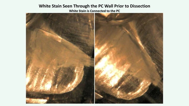 Micro ftir6-adhesive attacks polycarbonate | PPTX