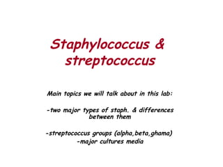 Staphylococcus & streptococcus | PPT