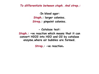 Staphylococcus & streptococcus | PPT