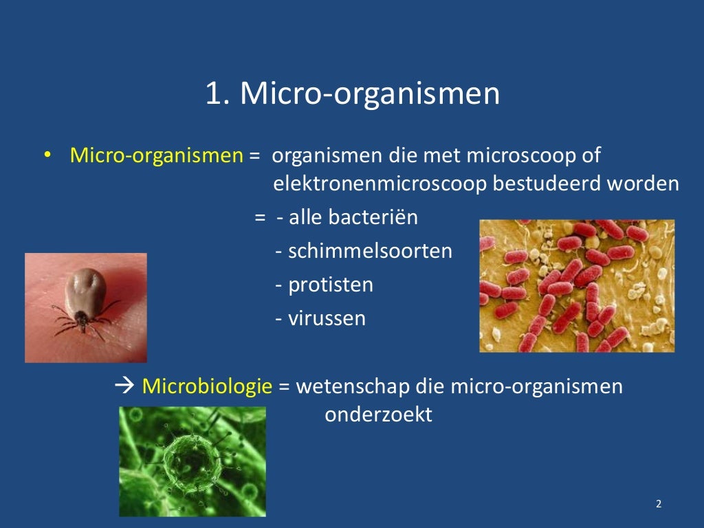 Micro organismen 1. Bacteriën