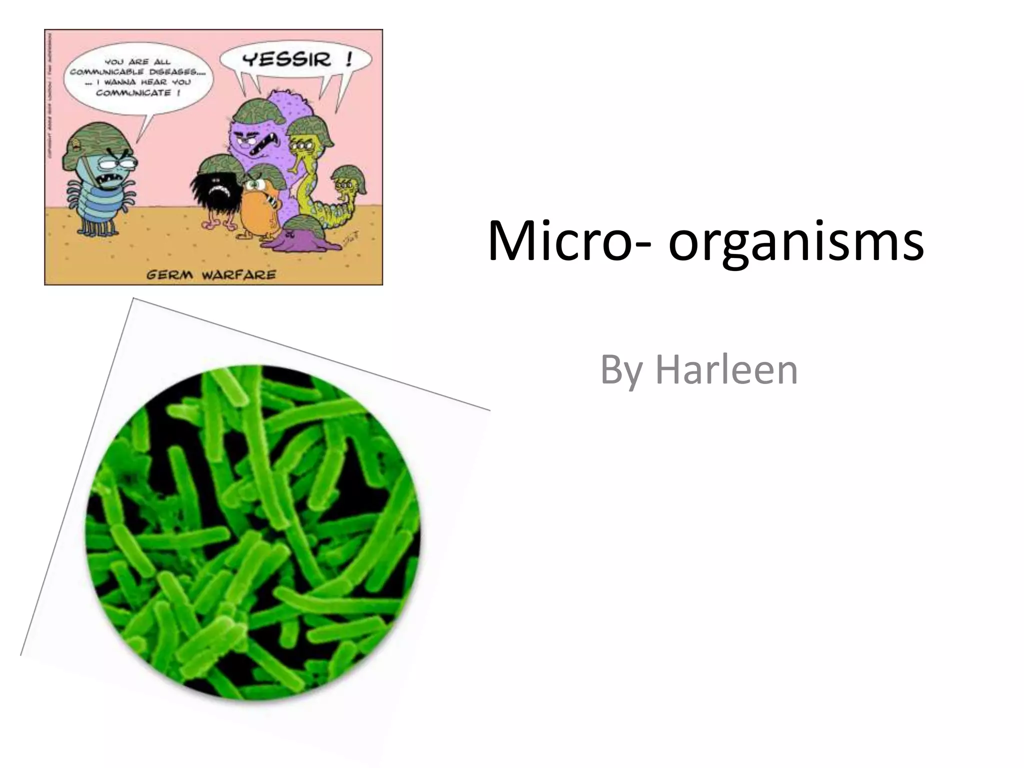 Micro organisms | PPTX