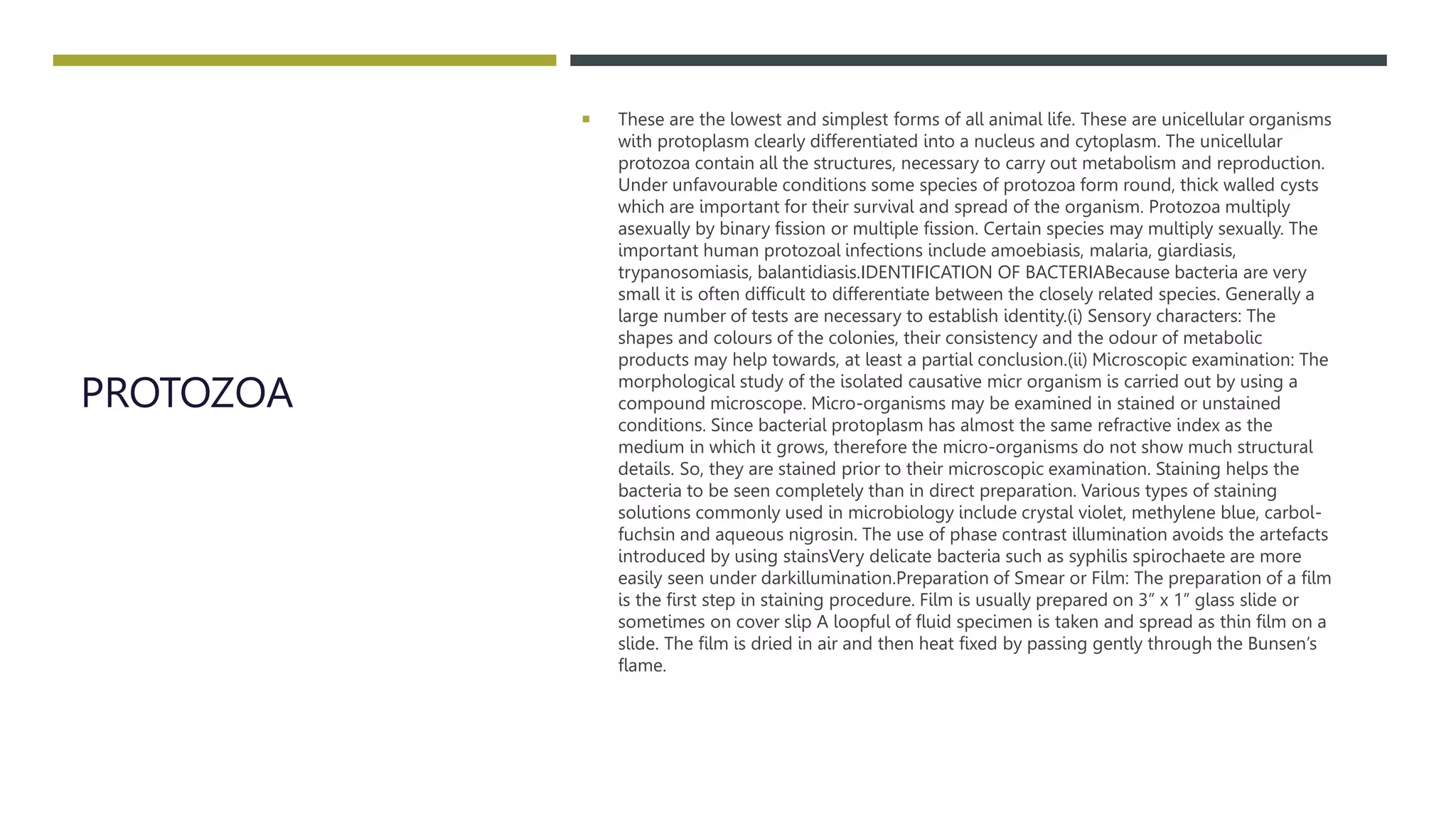 MICRO-ORGANISMS.pptx