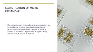 MICRO-ORGANISMS.pptx