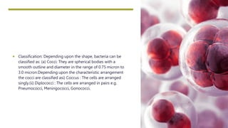 MICRO-ORGANISMS.pptx