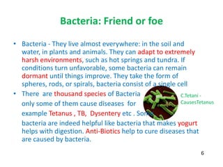 Microorganisms and deadly diseases. | PPTX
