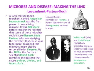Microorganisms | PPTX