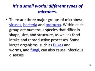 Microorganisms | PPTX